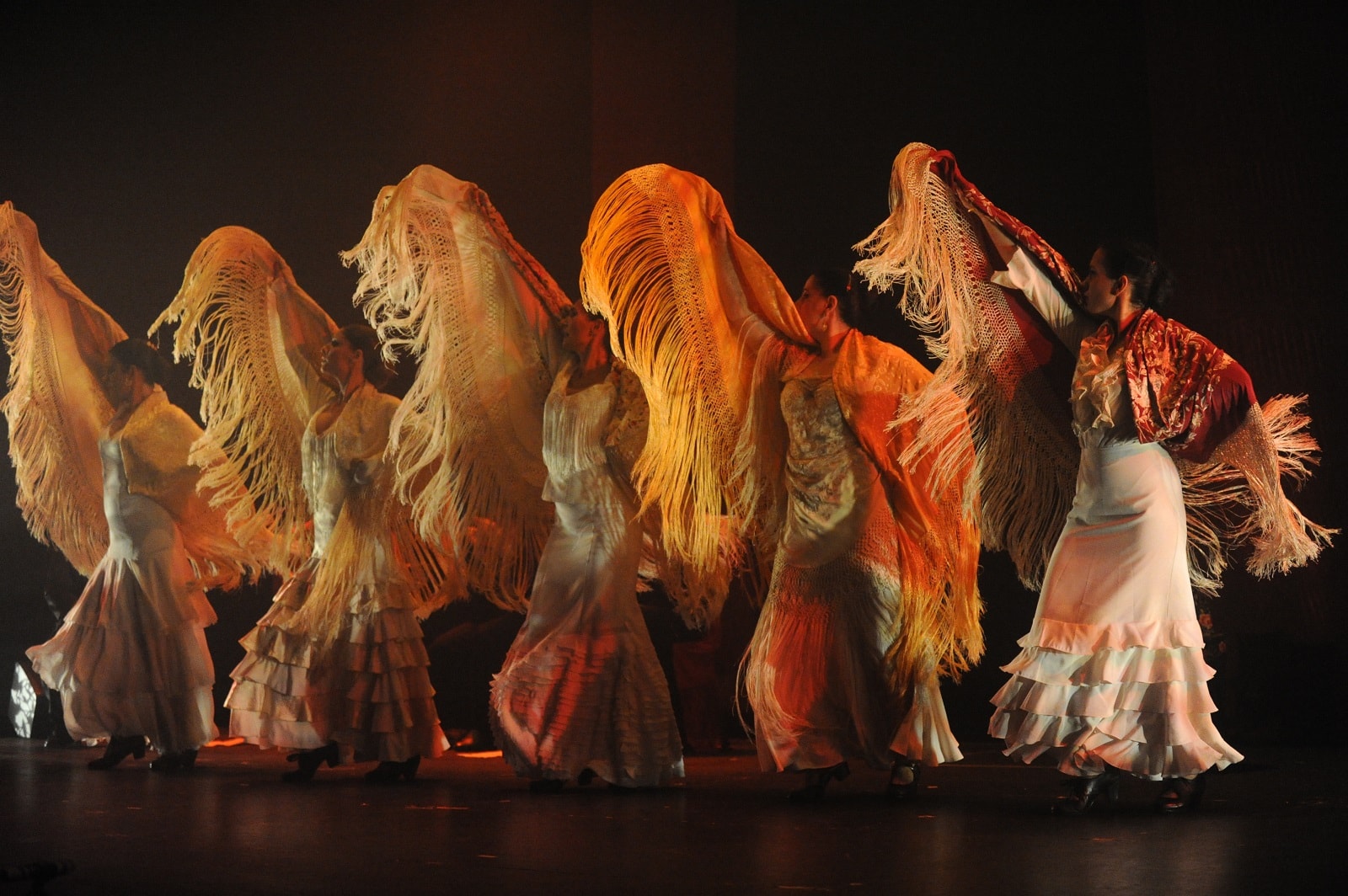 TOMA Q TOMA - פלמנקו נטורל